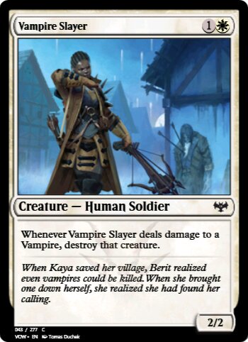Vampire Slayer